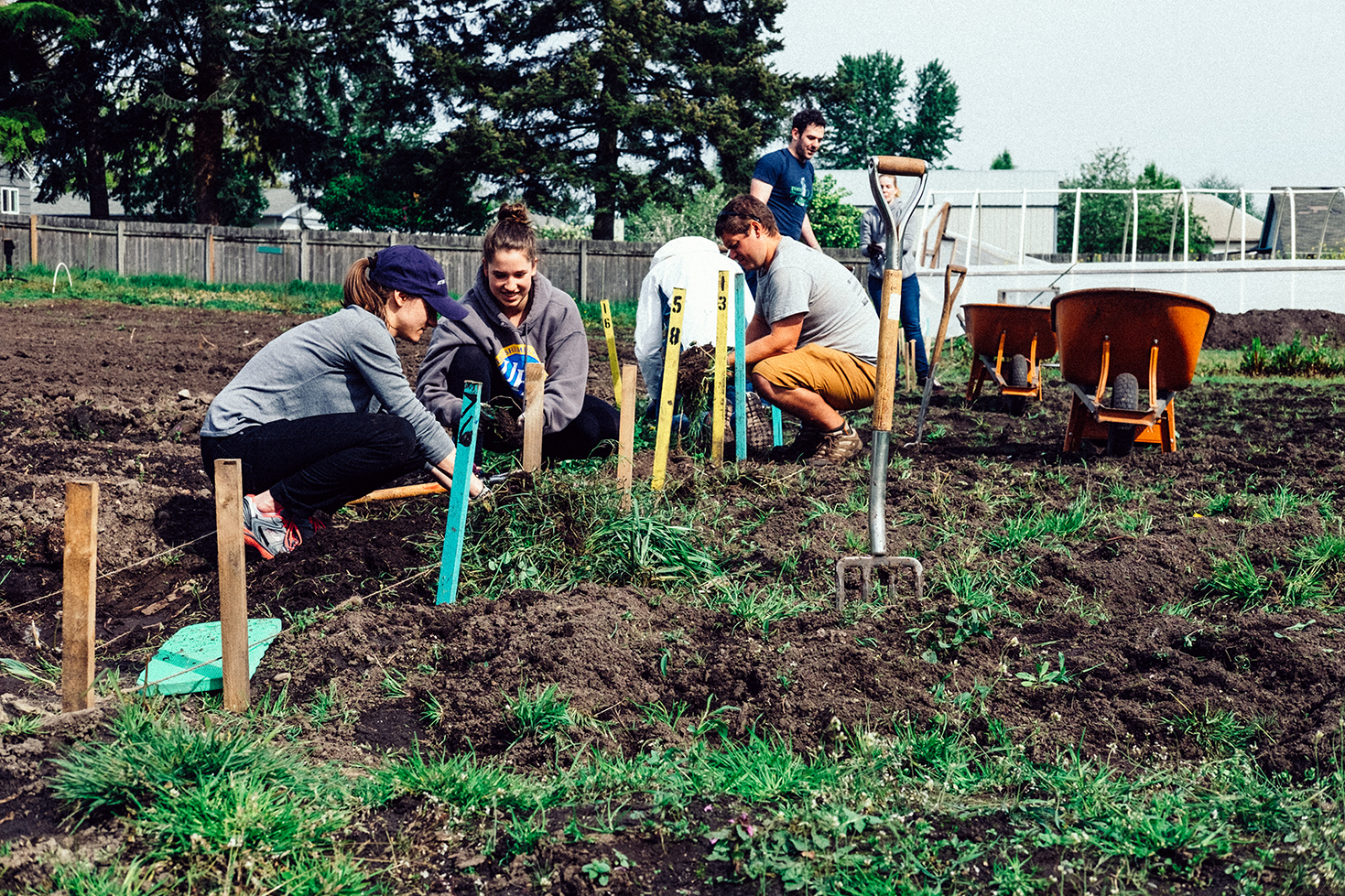 From seed to plate… Engaging & educating at our farms - Solid Ground