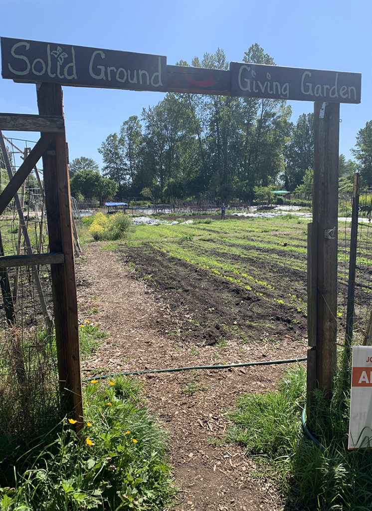 Waking up the Marra Farm Giving Garden for a new growing season - Solid ...