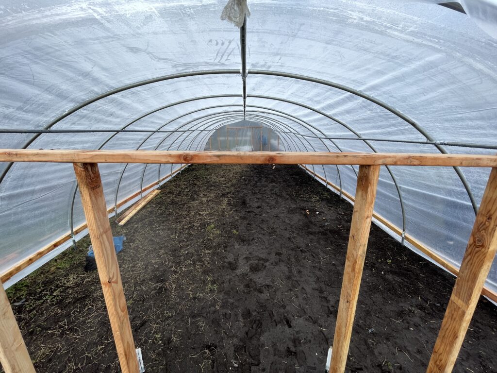Now at the farm: A hoop house, home-grown pizza dough, and more ...