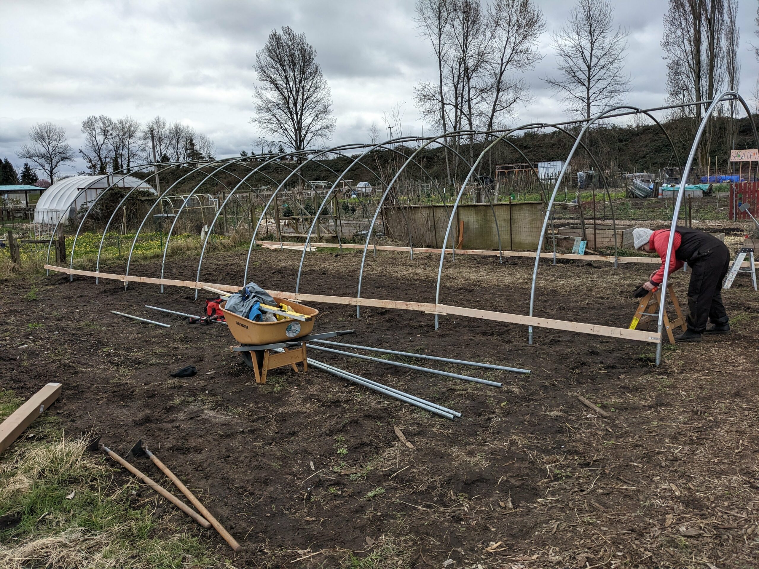 Now at the farm: A hoop house, home-grown pizza dough, and more ...