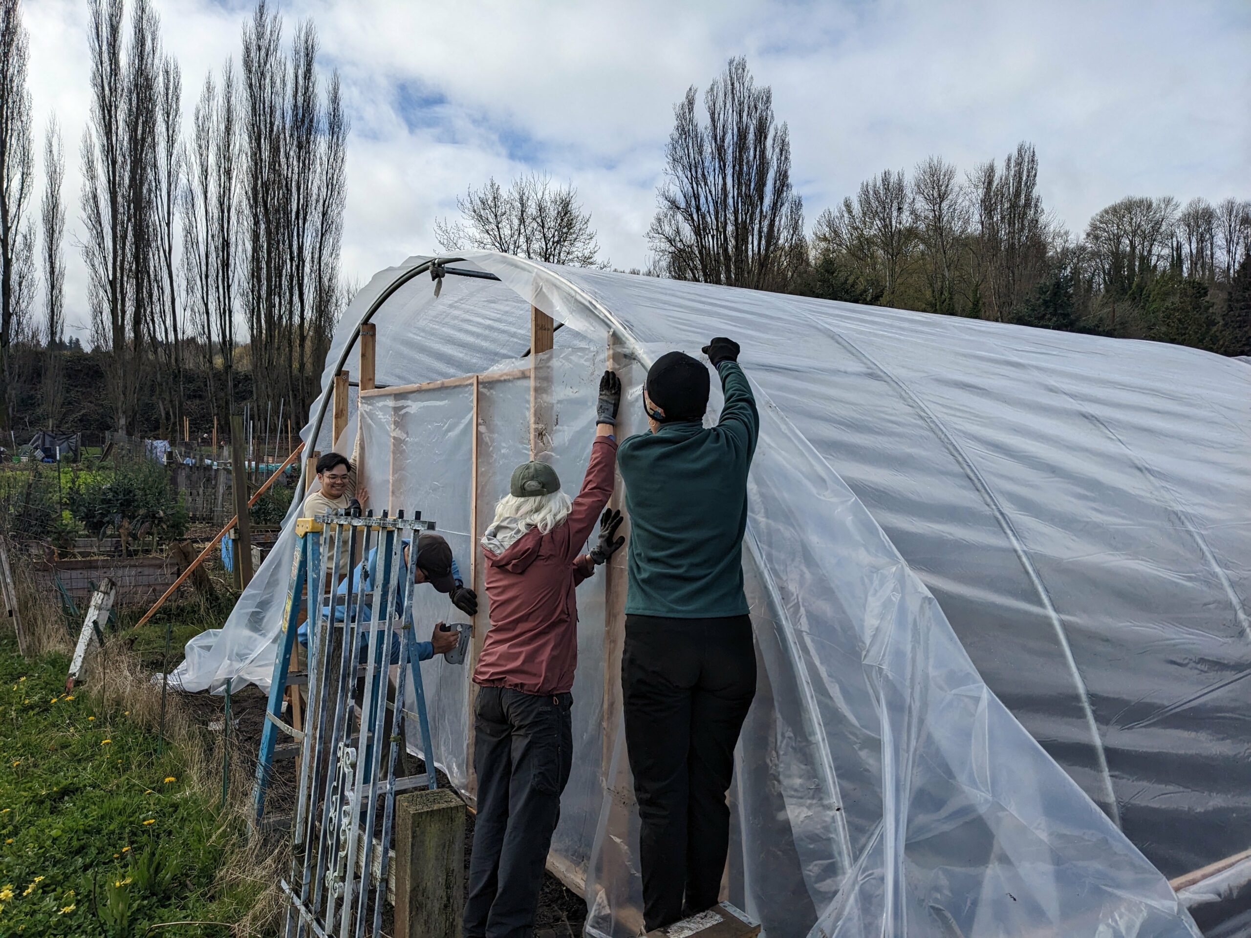 Now at the farm: A hoop house, home-grown pizza dough, and more ...
