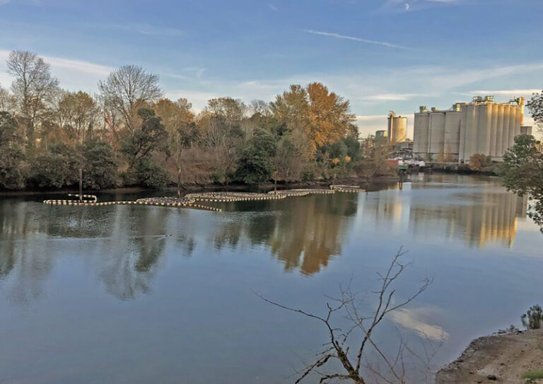 Home Page – Solid Ground