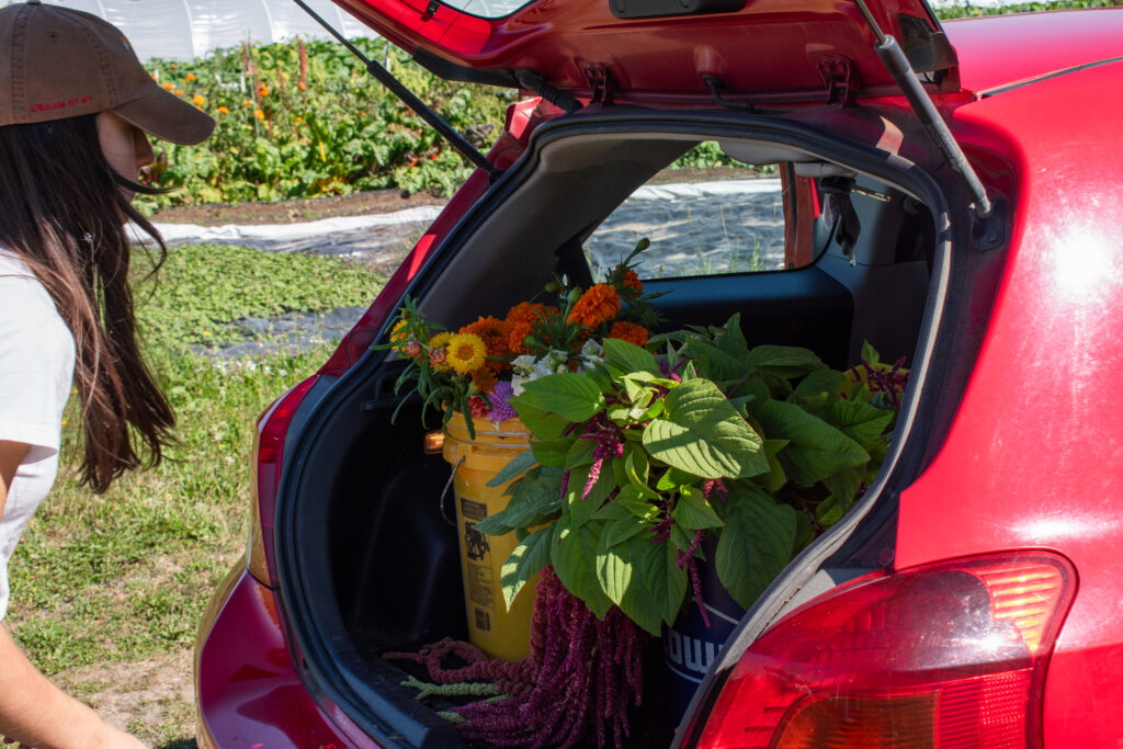 Cultivating community farming in Seattle and beyond - Solid Ground