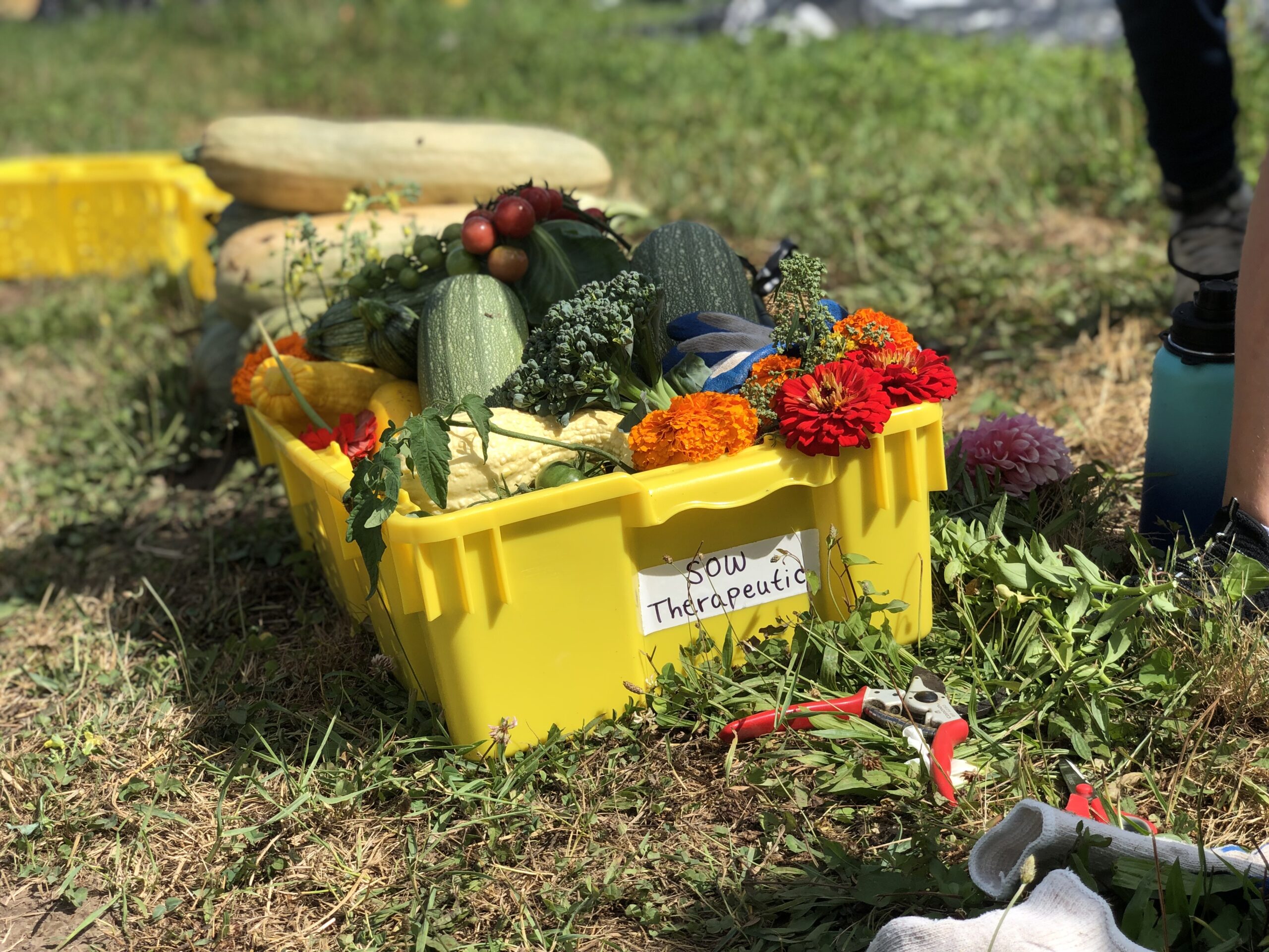 Cultivating community farming in Seattle and beyond - Solid Ground