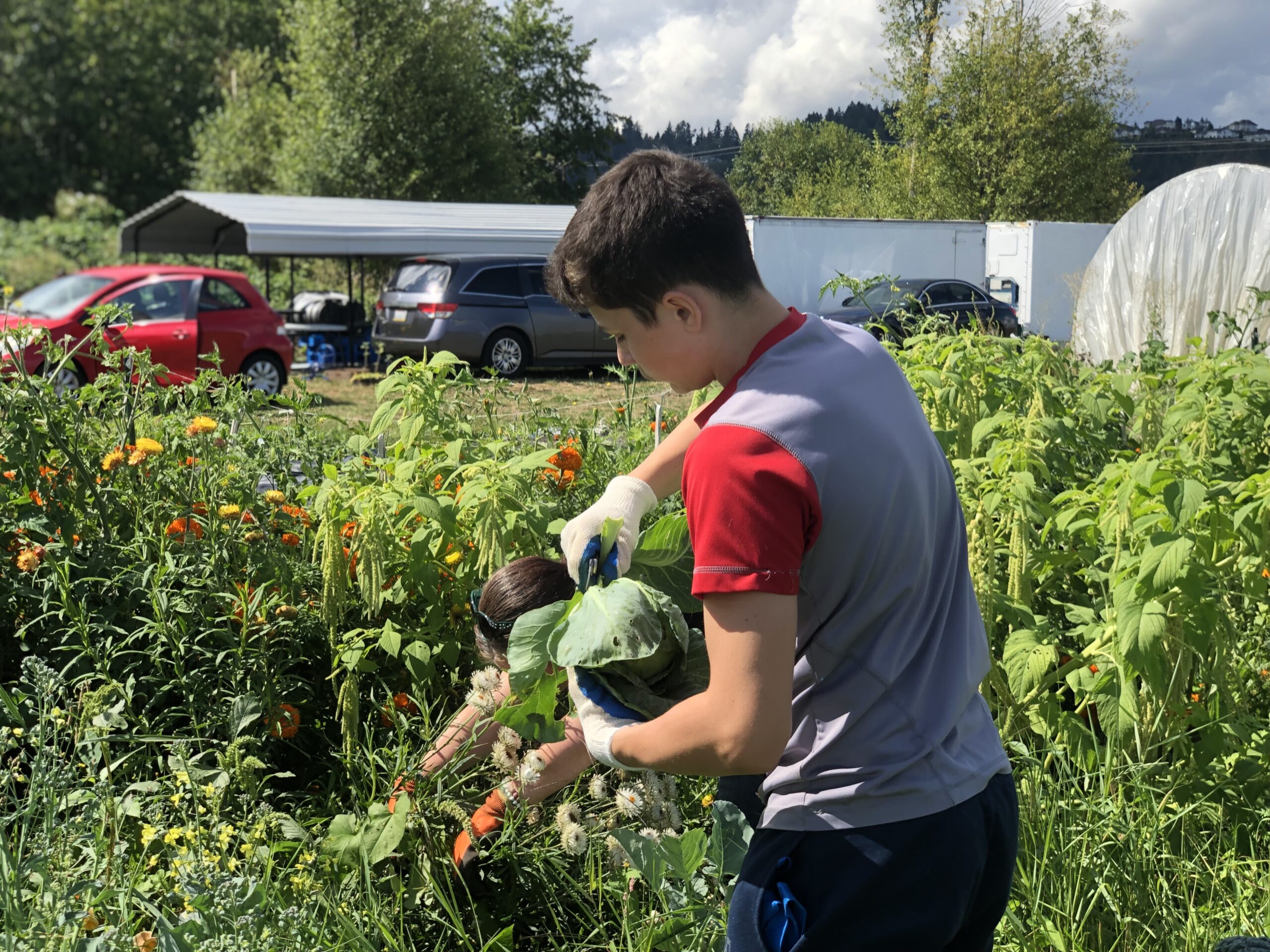 Cultivating community farming in Seattle and beyond - Solid Ground